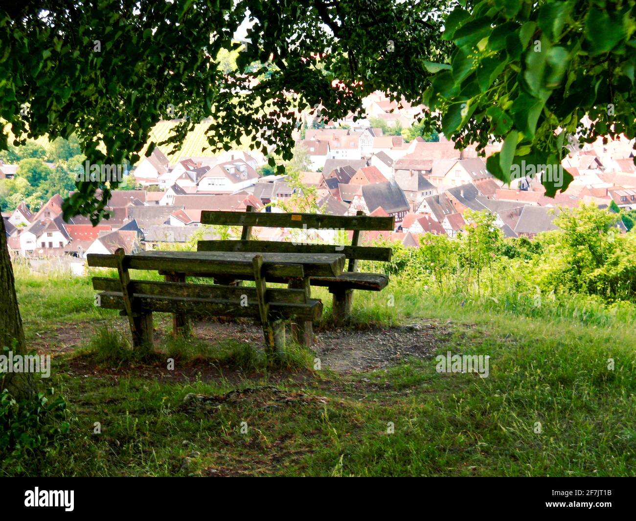 Rest area bench under trees canopy of leaves above a village View of ...