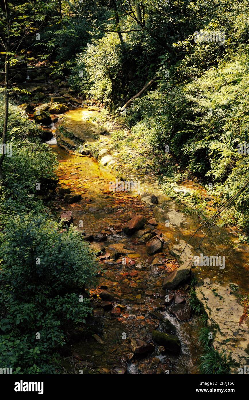 Small stream through woods hi-res stock photography and images - Alamy