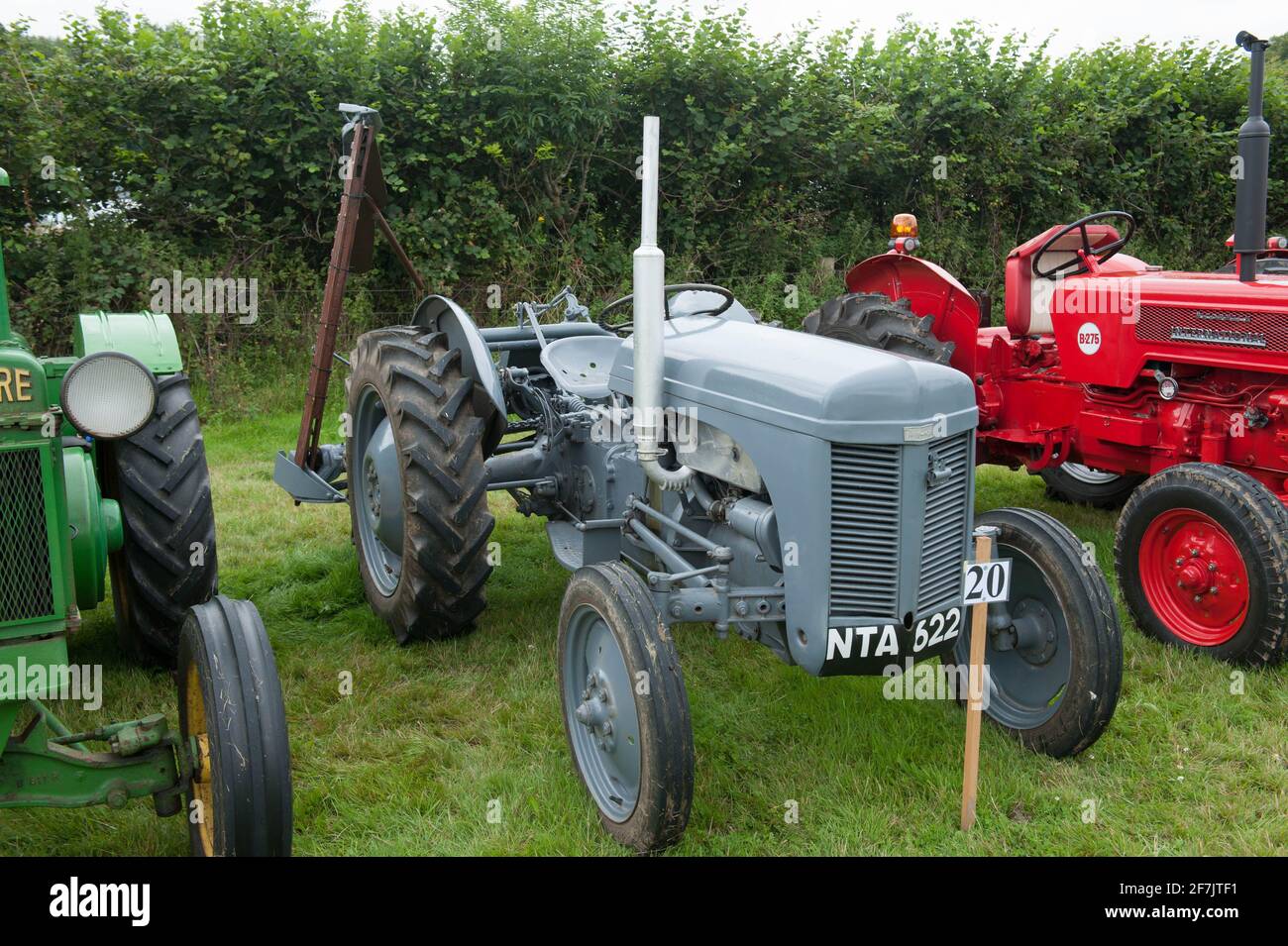 Vintage Grey Ferguson TE20 Tractor at Chagford Agricultural Show Stock ...