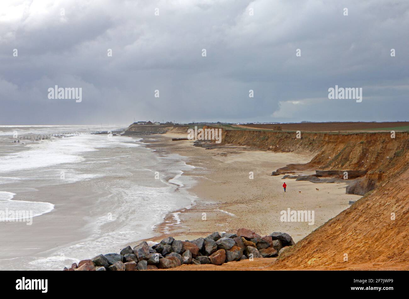 A view along the beach with a single walker and dogs on a stormy spring ...