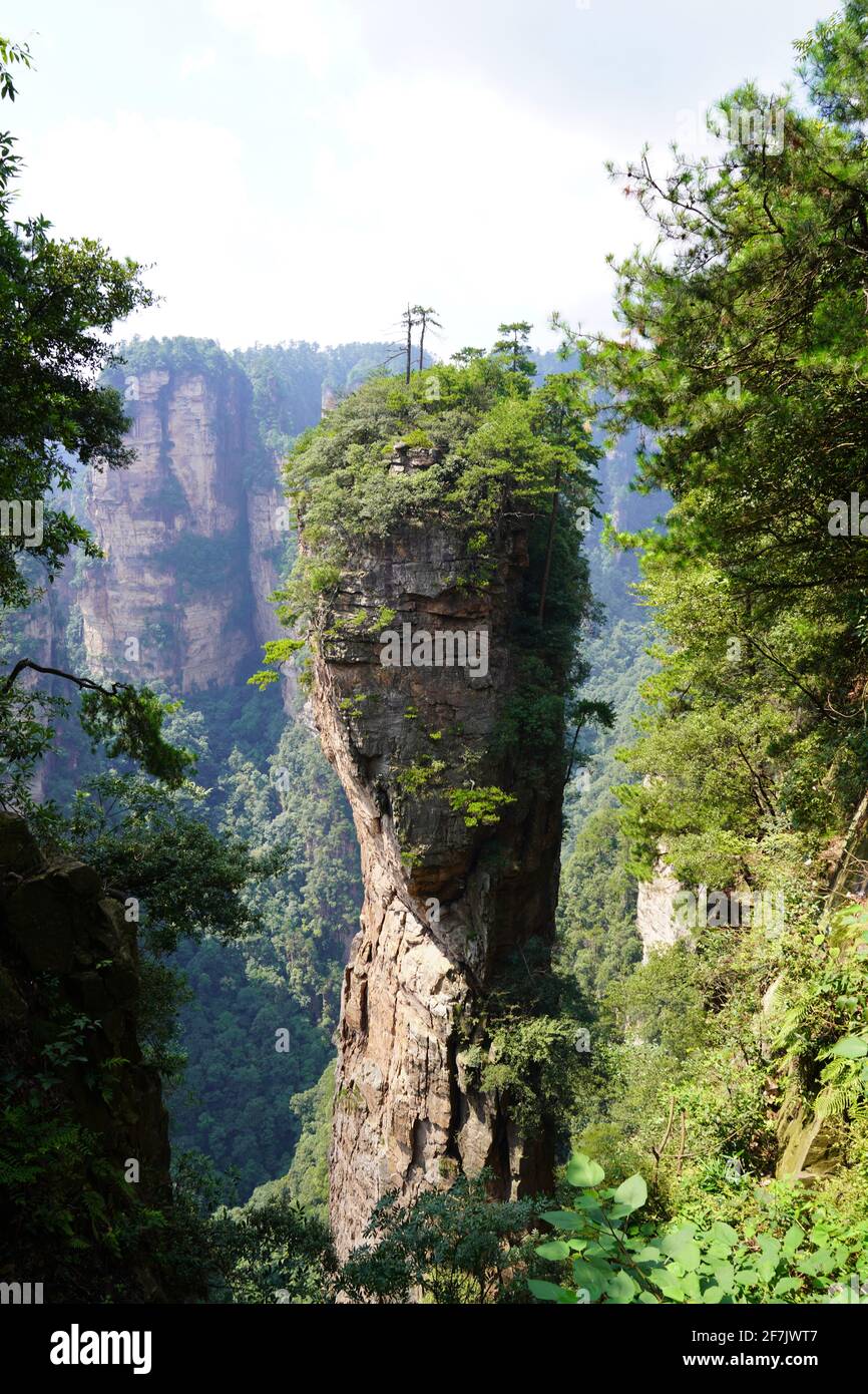 Zhang jia jie hi-res stock photography and images - Alamy