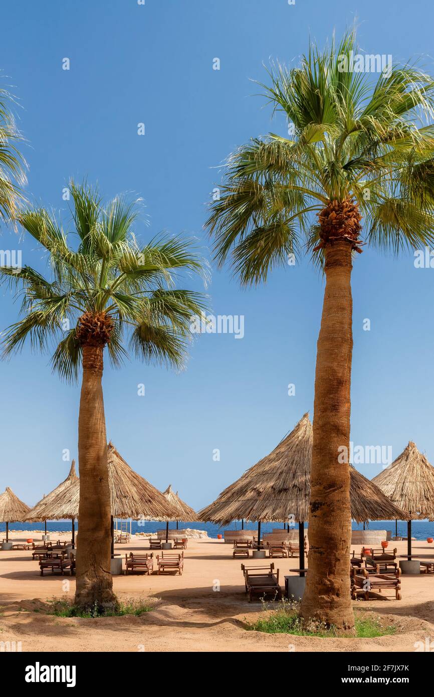 Tropical island trees tourist resorts hi-res stock photography and ...