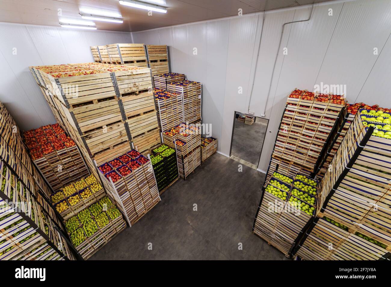 Apples and pears in crates ready for shipping. Cold storage interior ...
