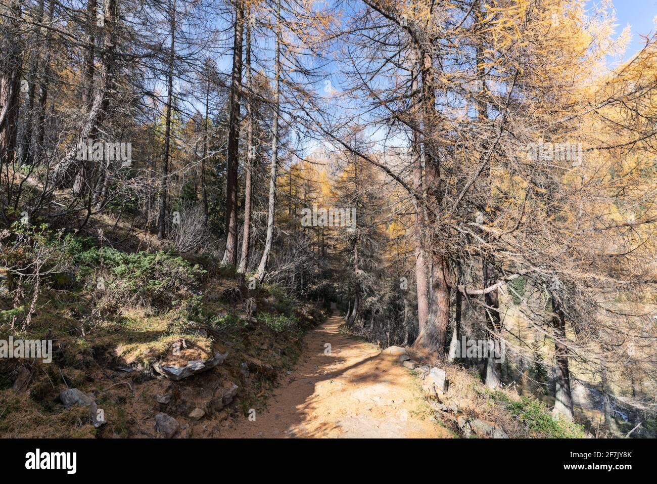 Scenic view of path into the mountain Stock Photo - Alamy