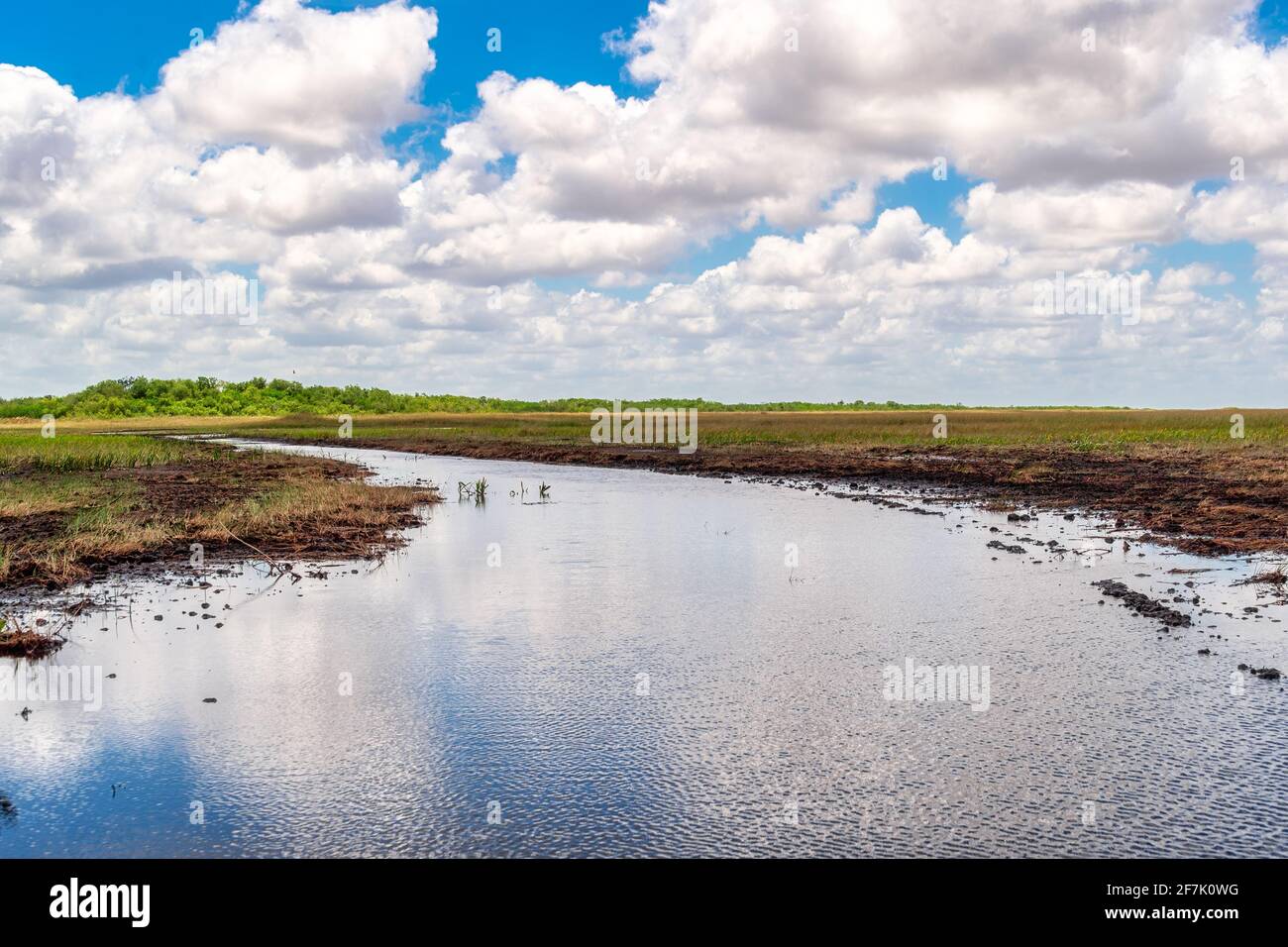 Everglades in drought season, Miami, Florida, USA Stock Photo - Alamy