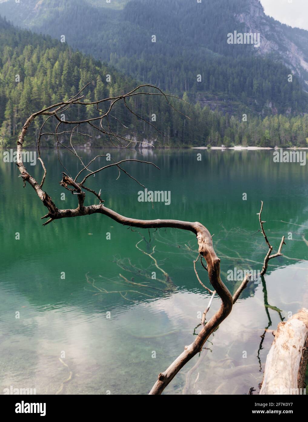 Lago di tovel val hi-res stock photography and images - Alamy