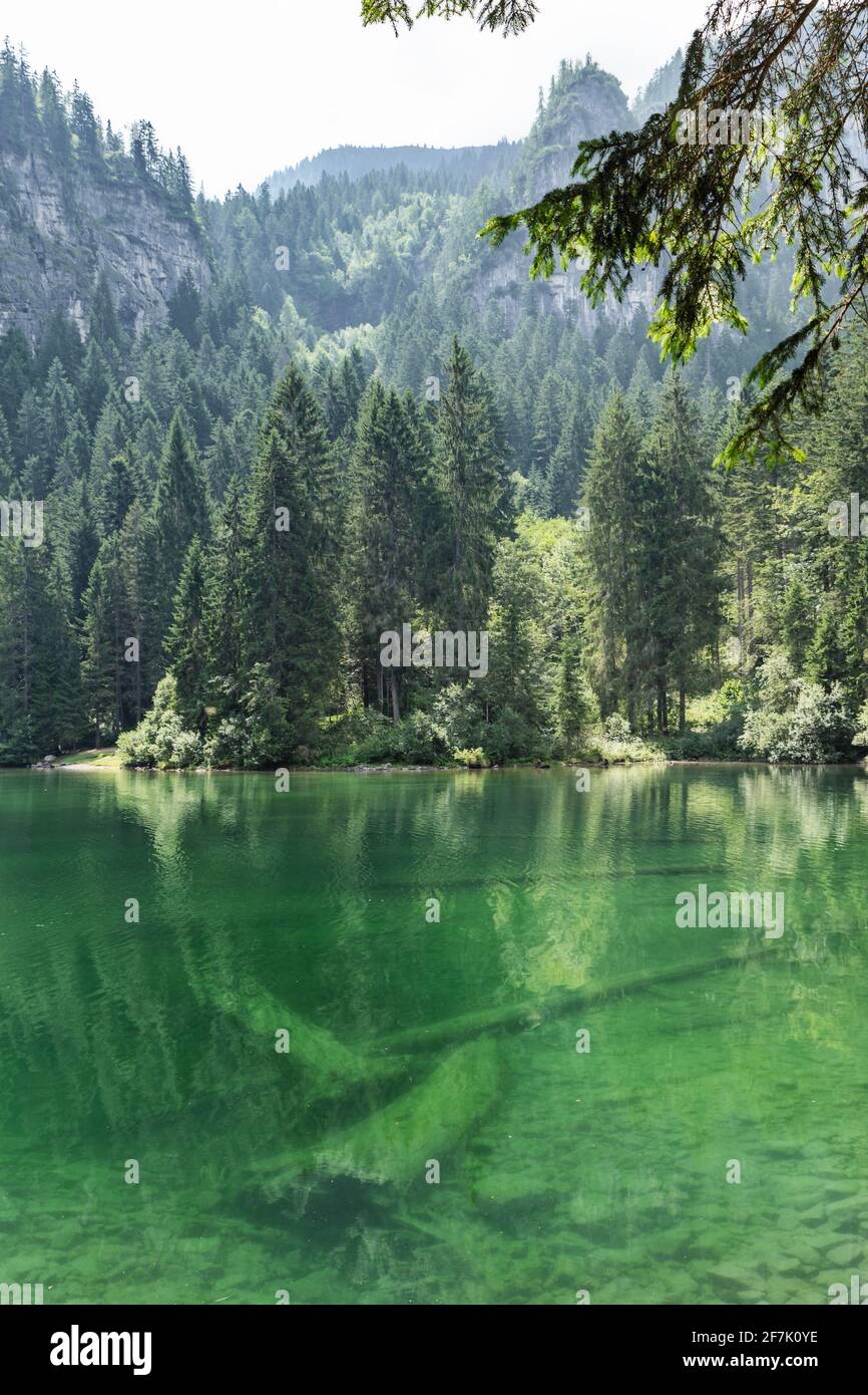 Lago di tovel hi-res stock photography and images - Alamy