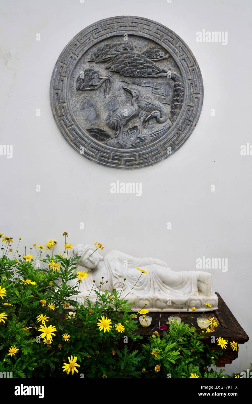 A white wall with round embossment relievo on it and chrysanthemum on ...