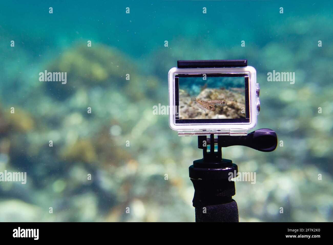 Using action-camera in waterproof box to make photos and video ...