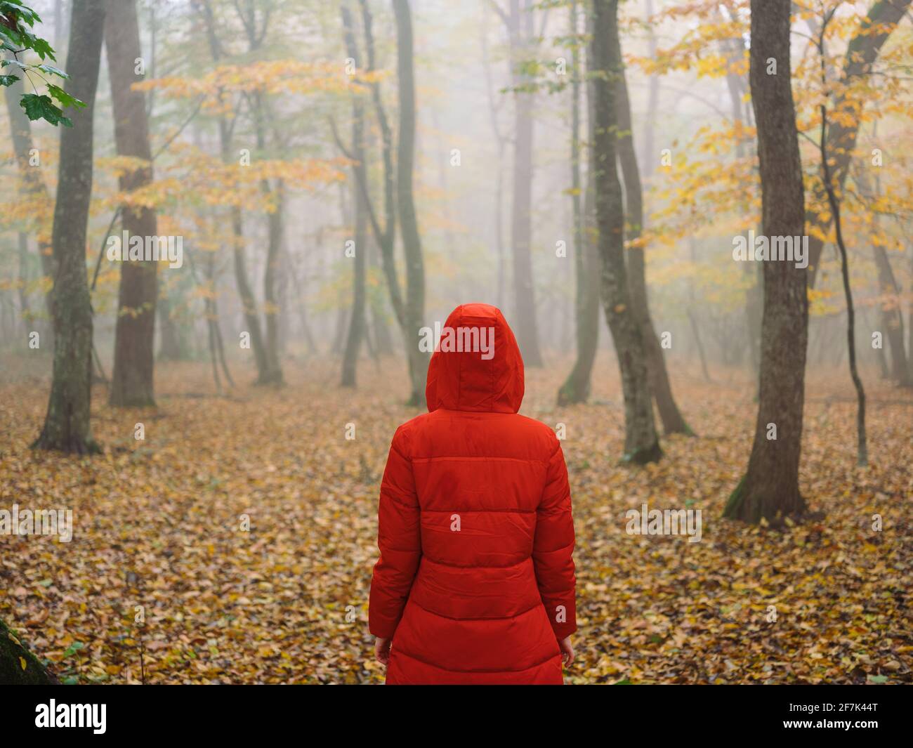 Pretty woman in autumn in forest fog walk rain Stock Photo - Alamy