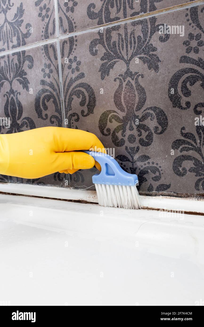 Person cleaning mould and mildew from a shower cubicle with a scrubbing ...