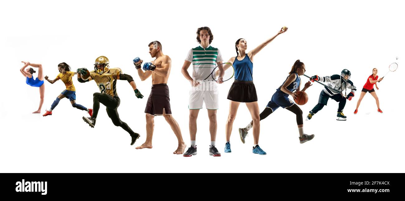 Collage of different professional sportsmen, fit people in action and ...
