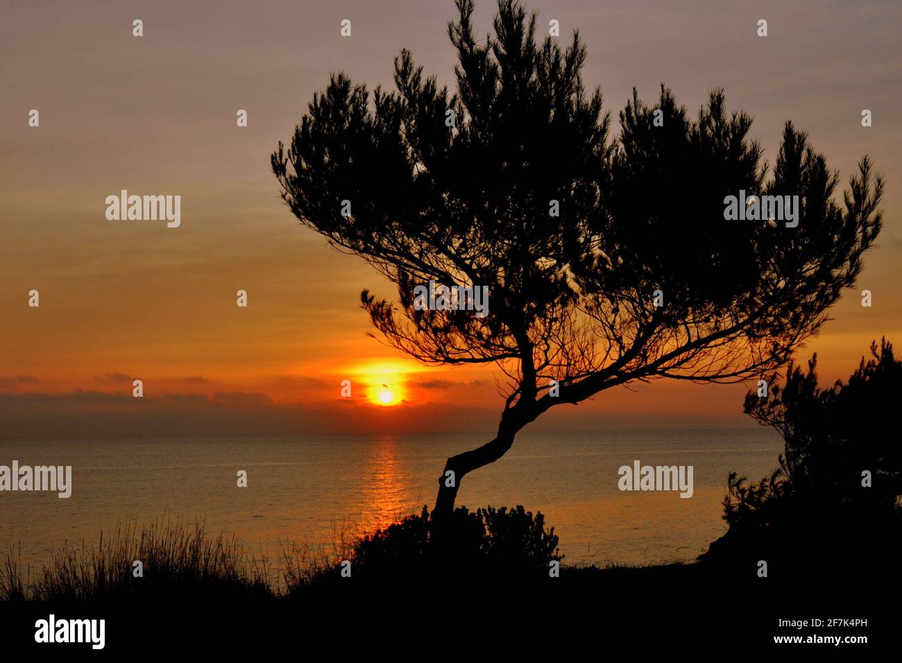 France, french riviera, Cap d'Antibes, beautiful sunrise with ...