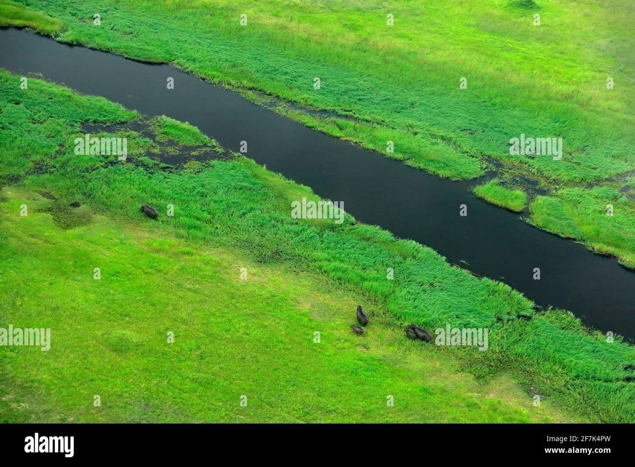 Aerial landscape in Okavango delta, Botswana. Lakes and rivers, view ...