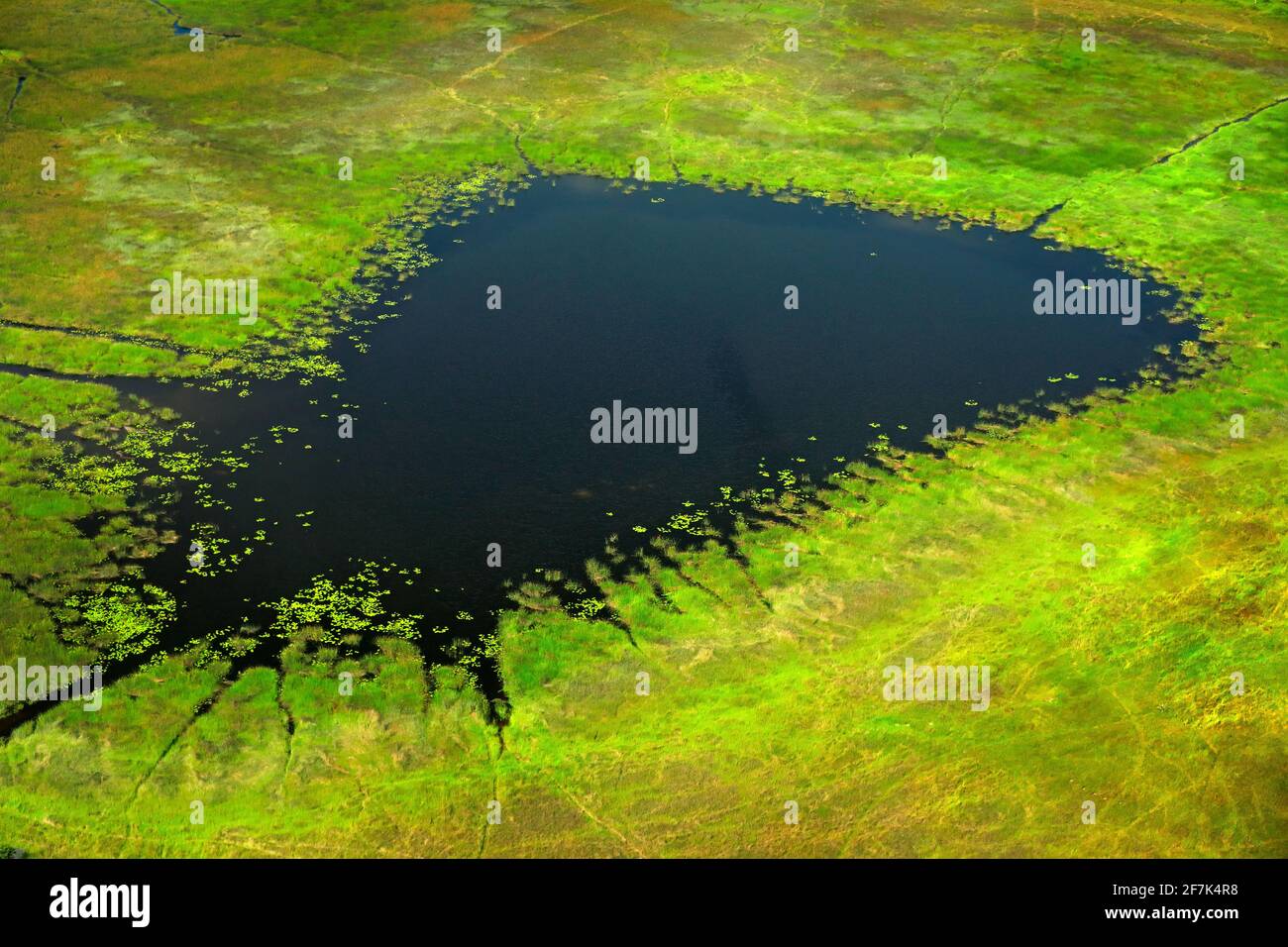 Aerial landscape in Okavango delta, Botswana. Dark water lake, view ...