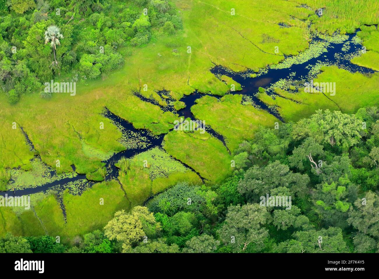 Aerial landscape in Okavango delta, Botswana. Lakes and rivers, view ...