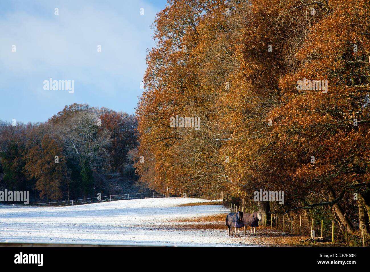 Beautiful country snow scene hi-res stock photography and images - Alamy