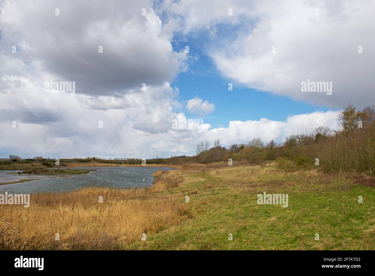 North Cave Wetlands nature reserve, East Yorkshire, England UK Stock ...