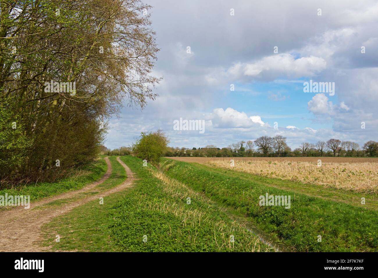 Eastrington Ponds, a local nature reserve, East Yorkshire, England UK ...