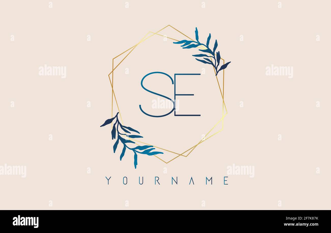 Letters SE s e Logo with golden polygon frames and gradient blue leaves ...