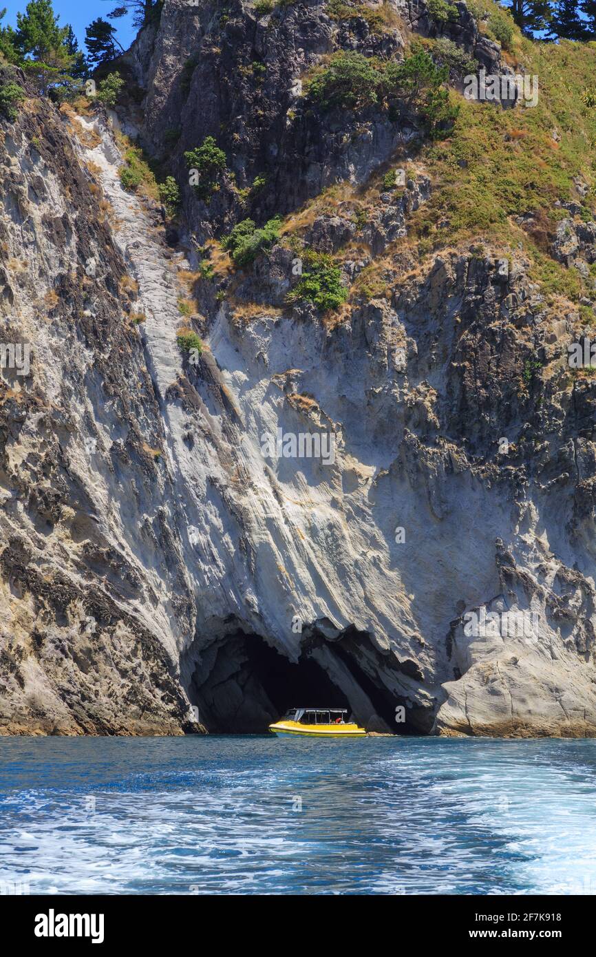 A sea cave in steep white coastal cliffs near Hahei, New Zealand. A ...