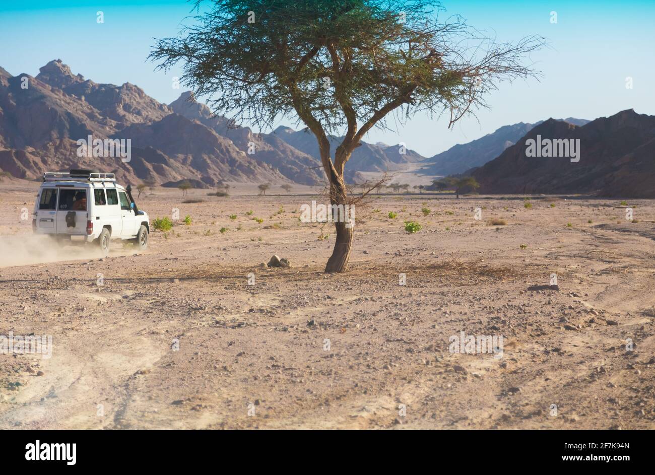 Safari off road racing hi-res stock photography and images - Alamy
