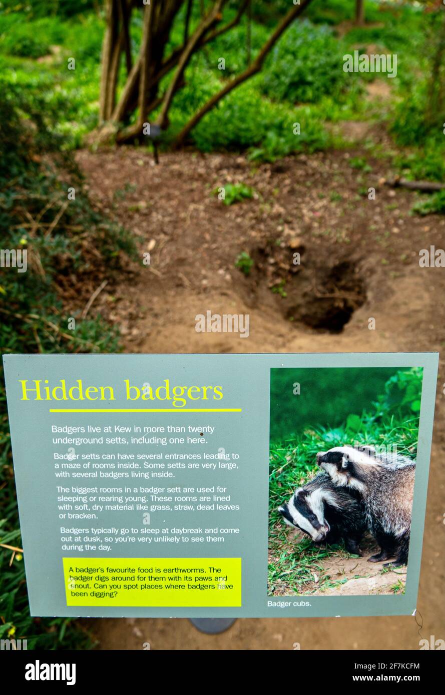 Badget set hi-res stock photography and images - Alamy