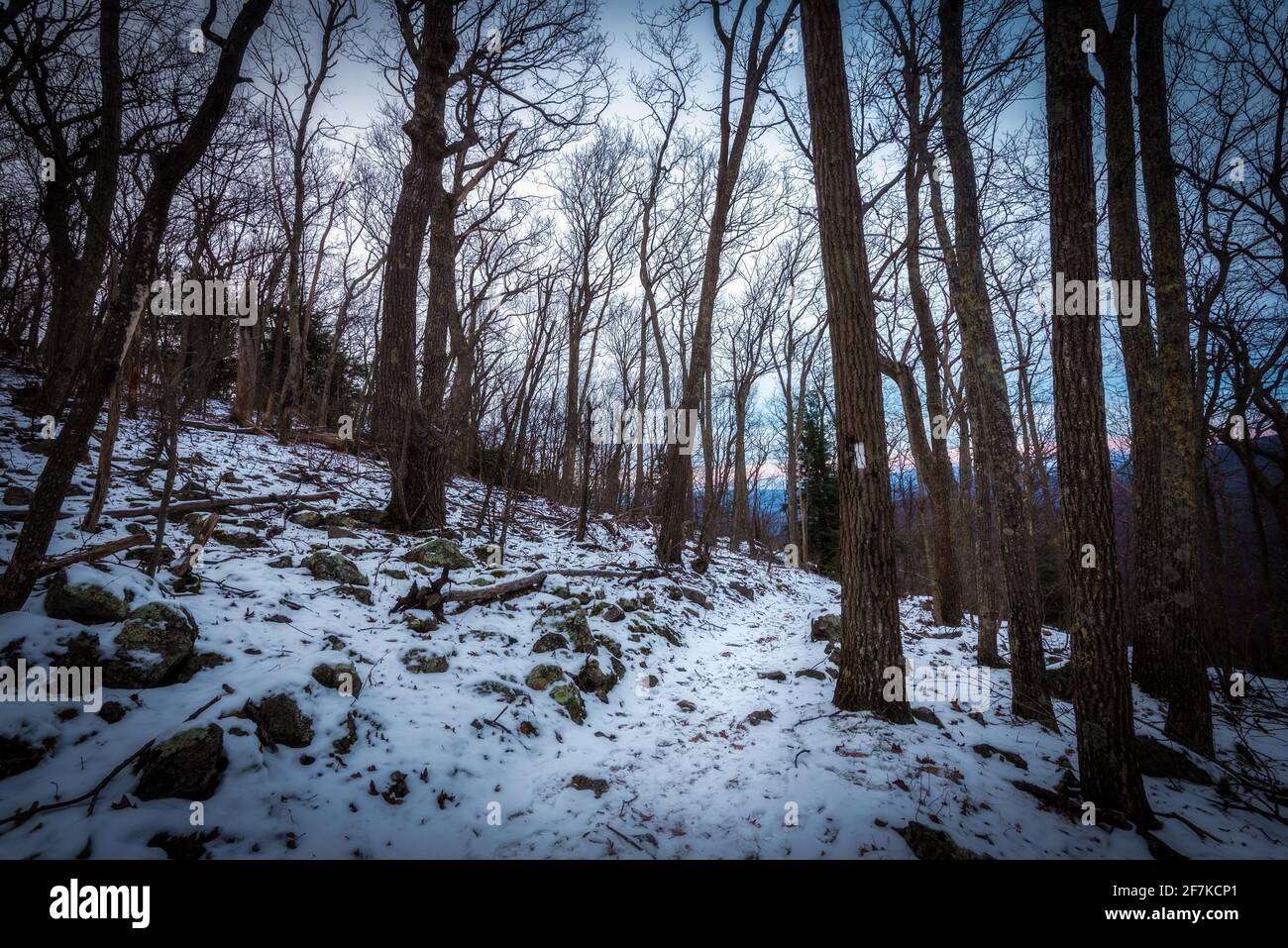 The snowy Appalachian Trail within Shenandoah National Park during the ...