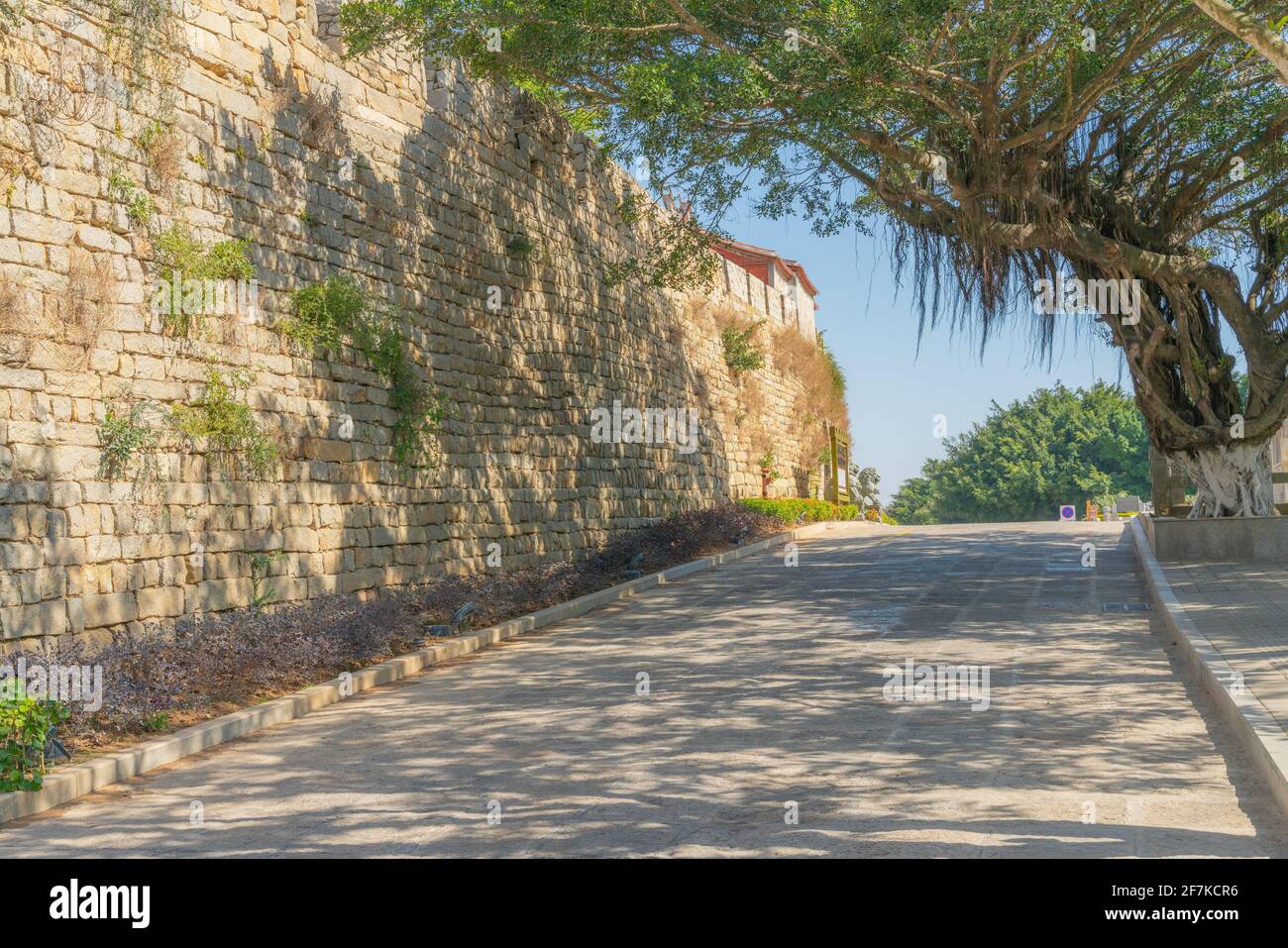 Chongwu hi-res stock photography and images - Alamy