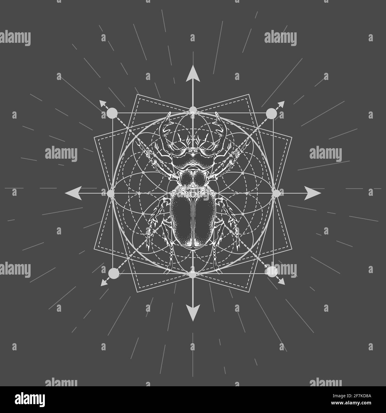 Vector illustration with hand drawn Stag Beetle and Sacred geometric ...