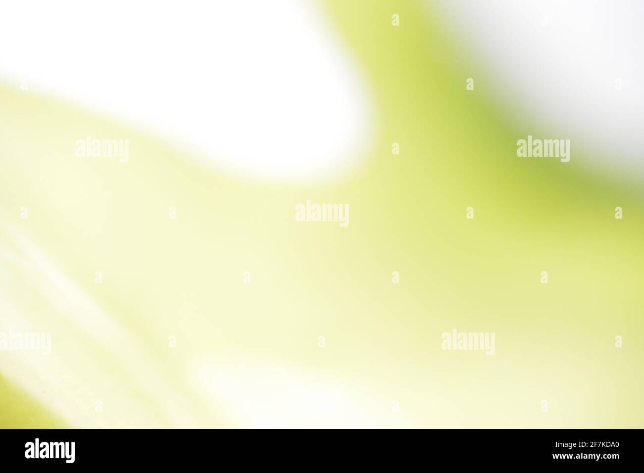 gradient green background for wallpapers and graphic designs, blurred ...