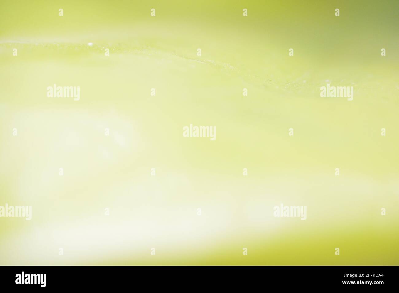 gradient green background for wallpapers and graphic designs, blurred ...