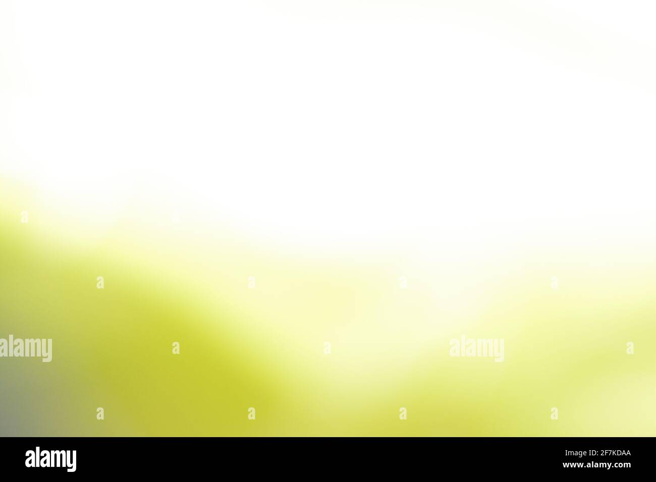 gradient green background for wallpapers and graphic designs, blurred ...