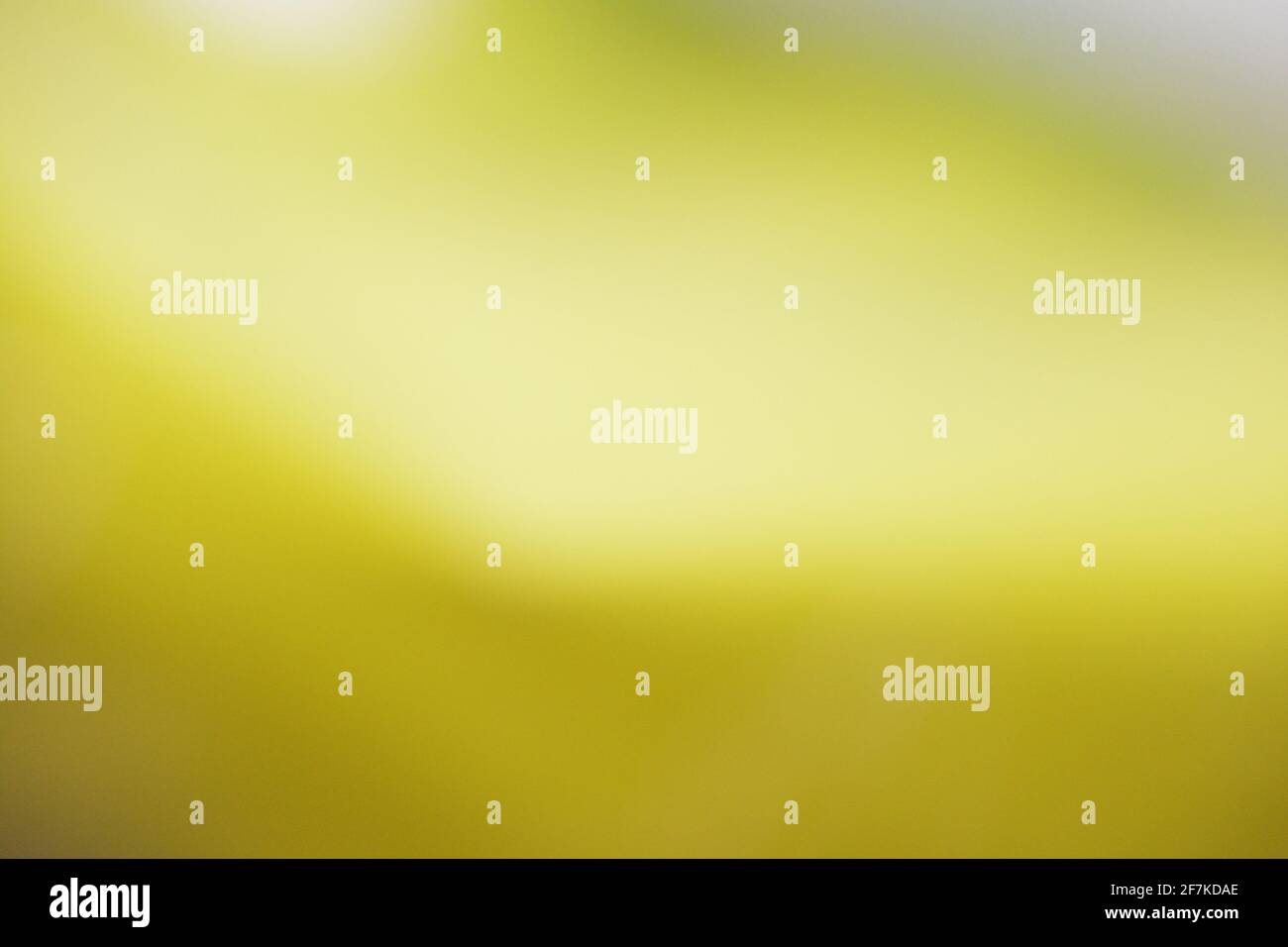 gradient green background for wallpapers and graphic designs, blurred ...