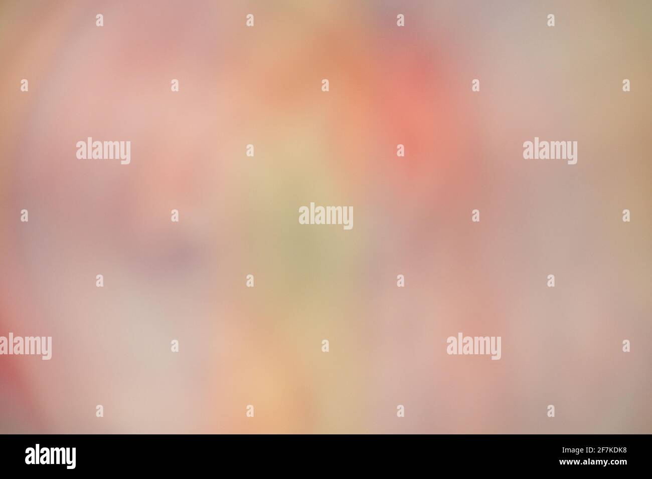 gradient multi colors background for wallpapers and graphic designs ...