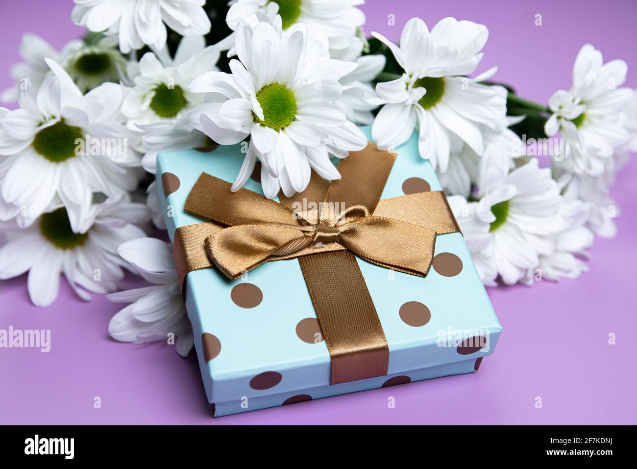 Birthday present surrounded by white flowers Stock Photo - Alamy