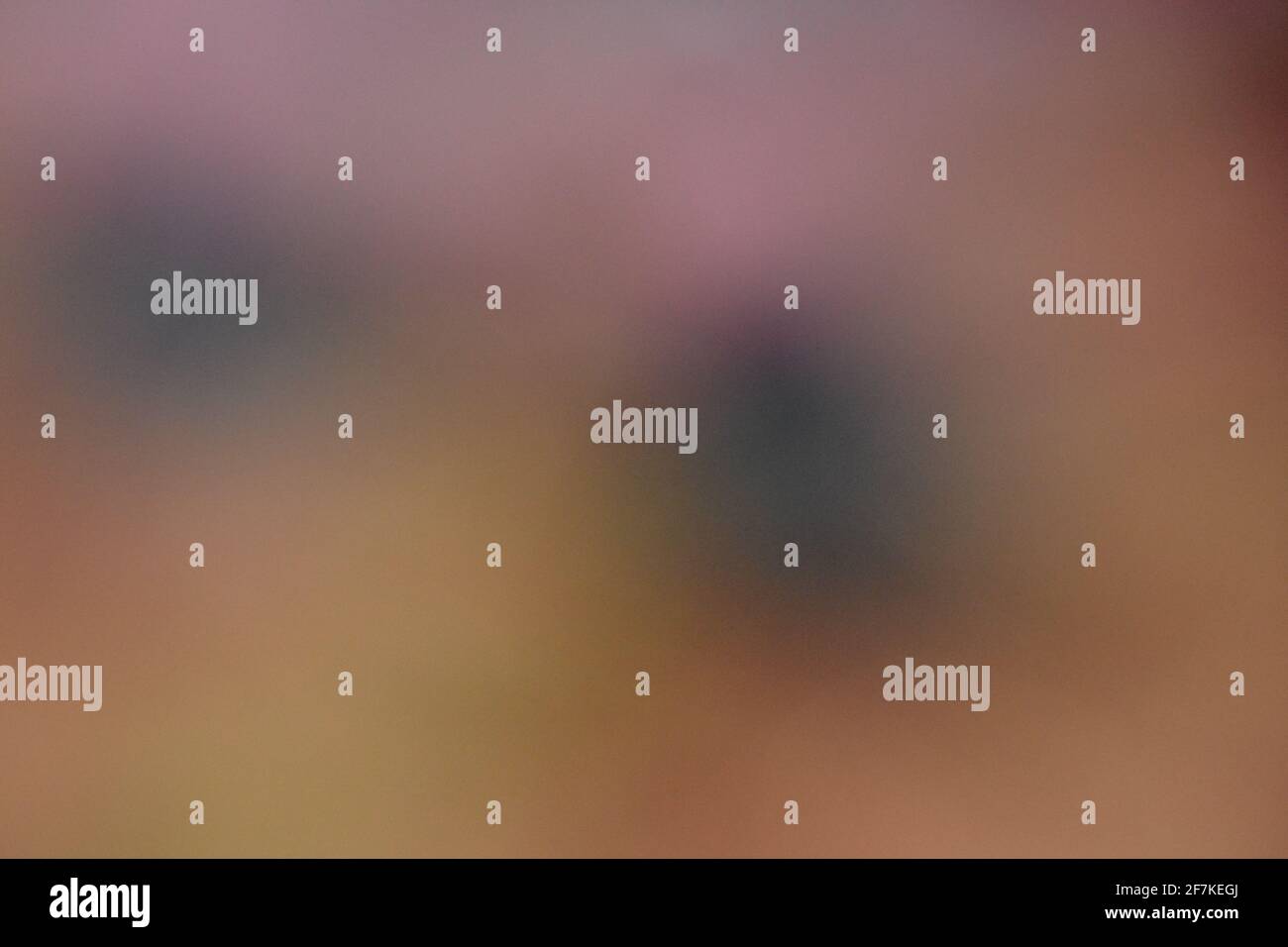 gradient brown background for wallpapers and graphic designs, blurred ...