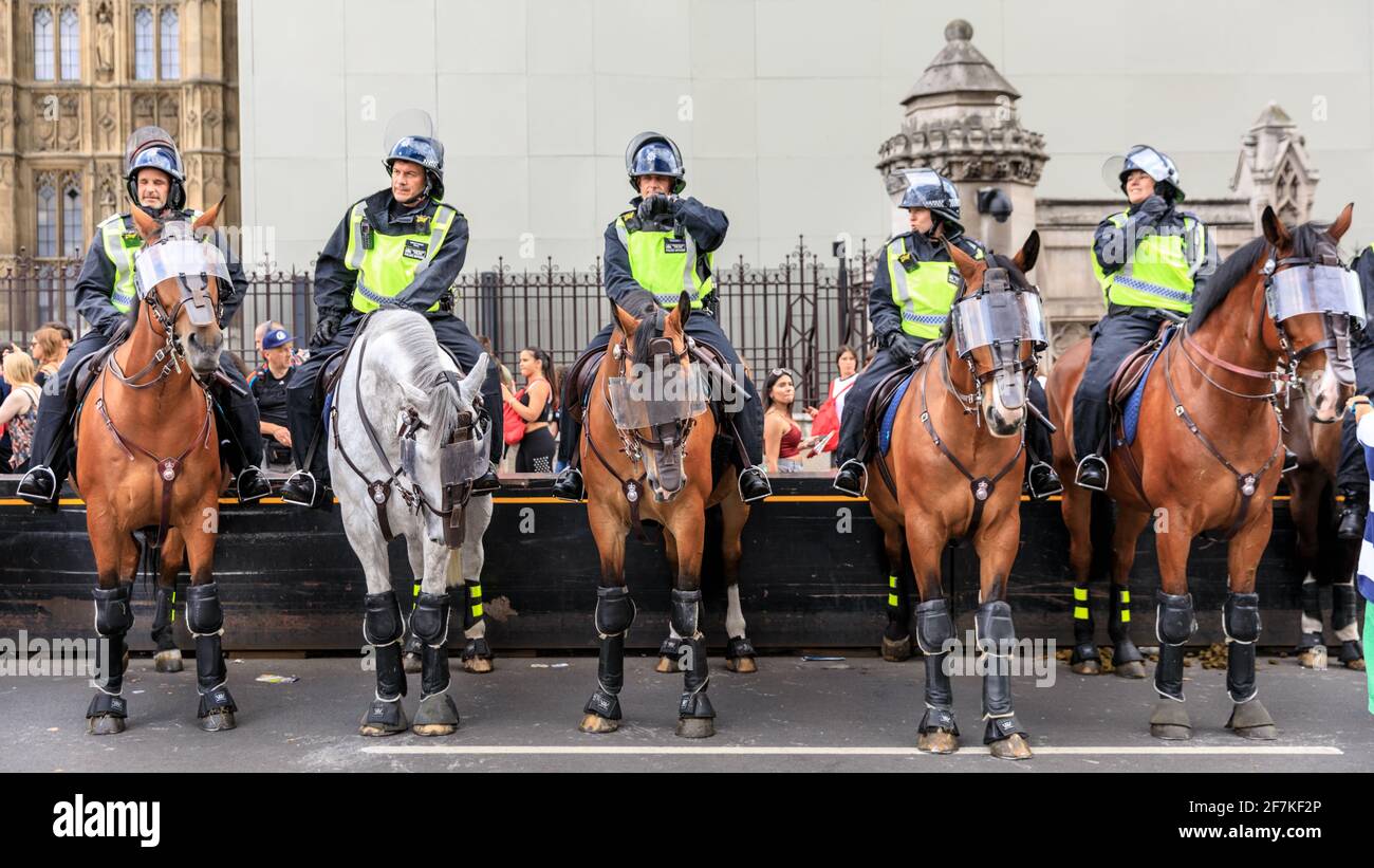 Mounted police, Metropolitain police mounted branch officers in riot ...
