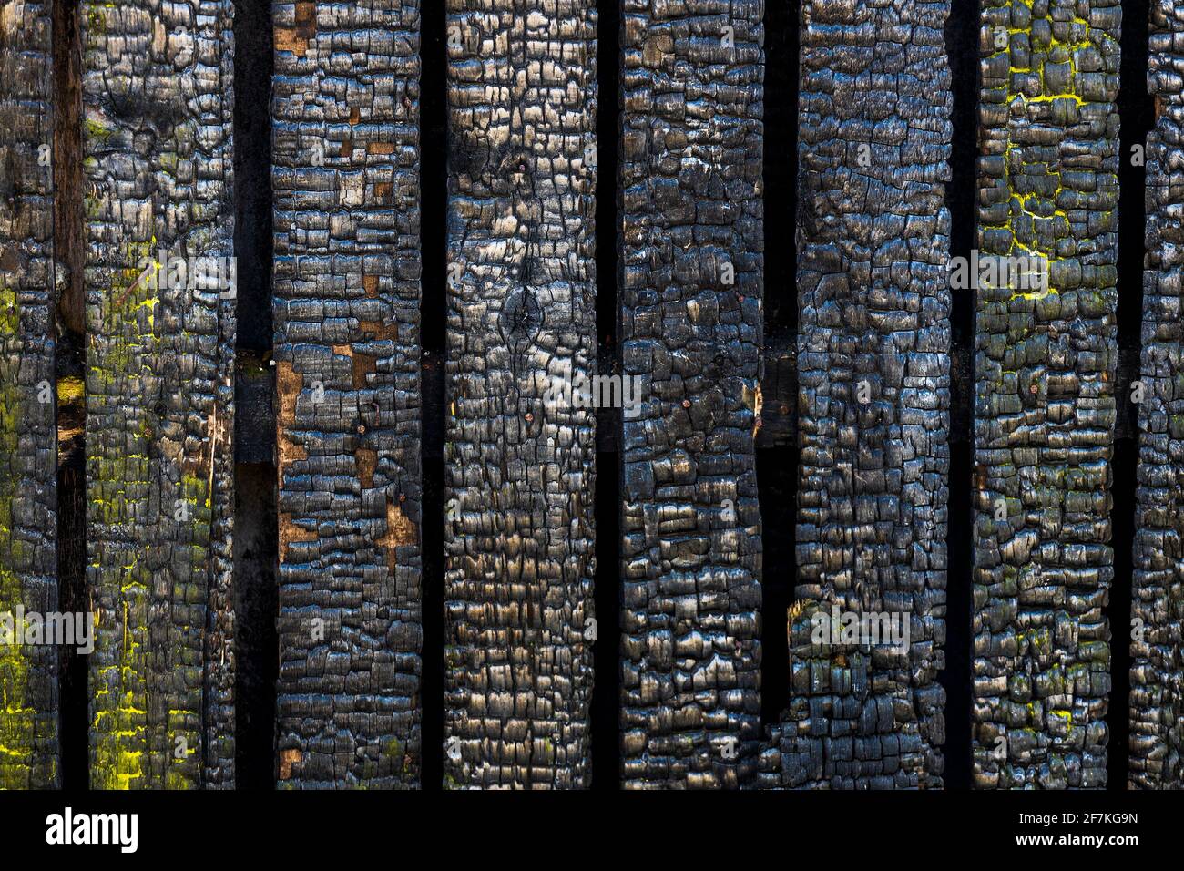 the charred wall of the house. building after the fire. wooden texture ...