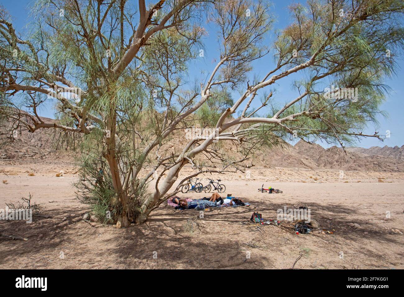 Landscape scenic view of desolate barren eastern desert in Egypt with ...
