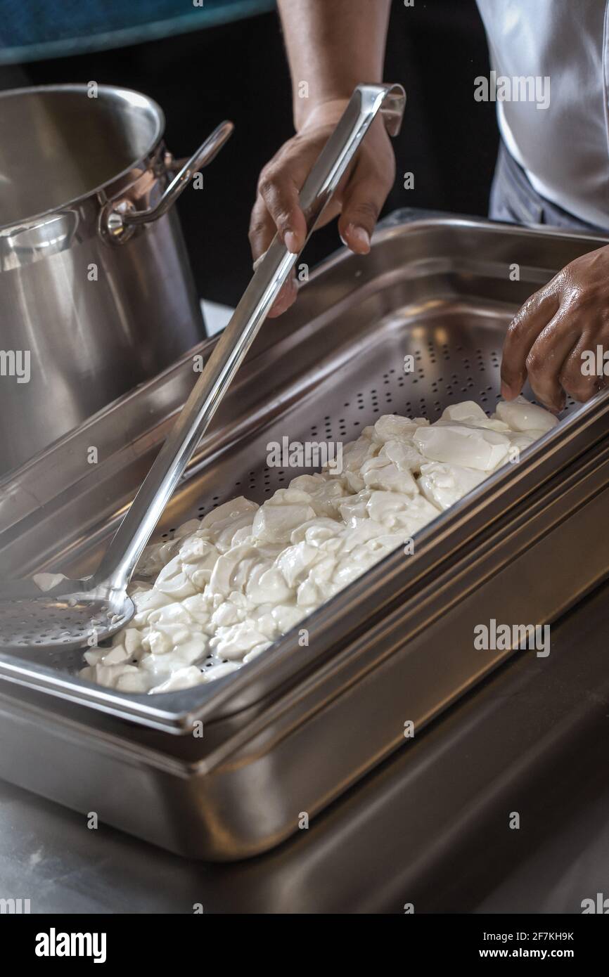 The process of creating fresh mozzarella cheese Stock Photo - Alamy