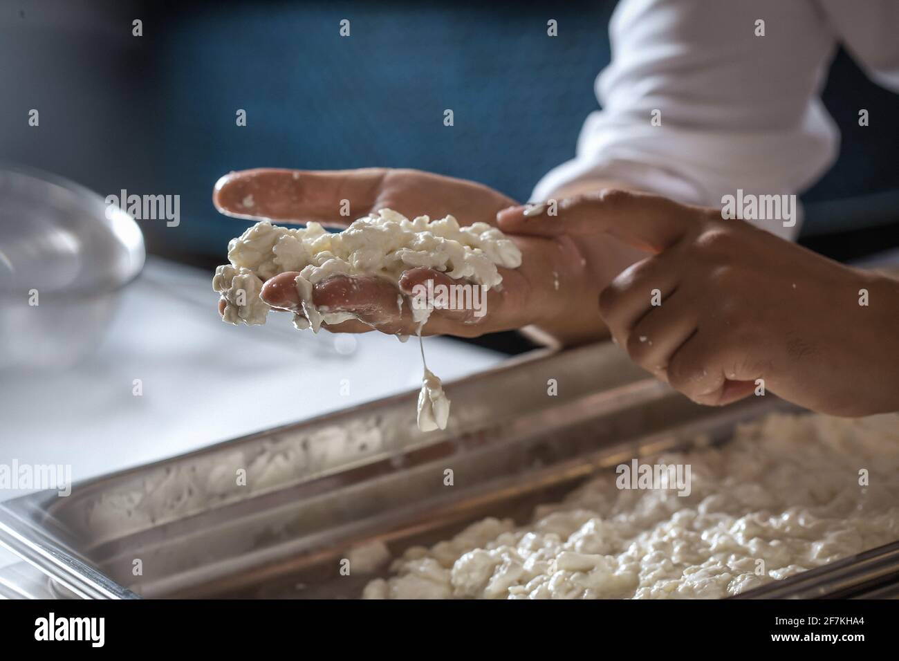 The process of creating fresh mozzarella cheese Stock Photo - Alamy