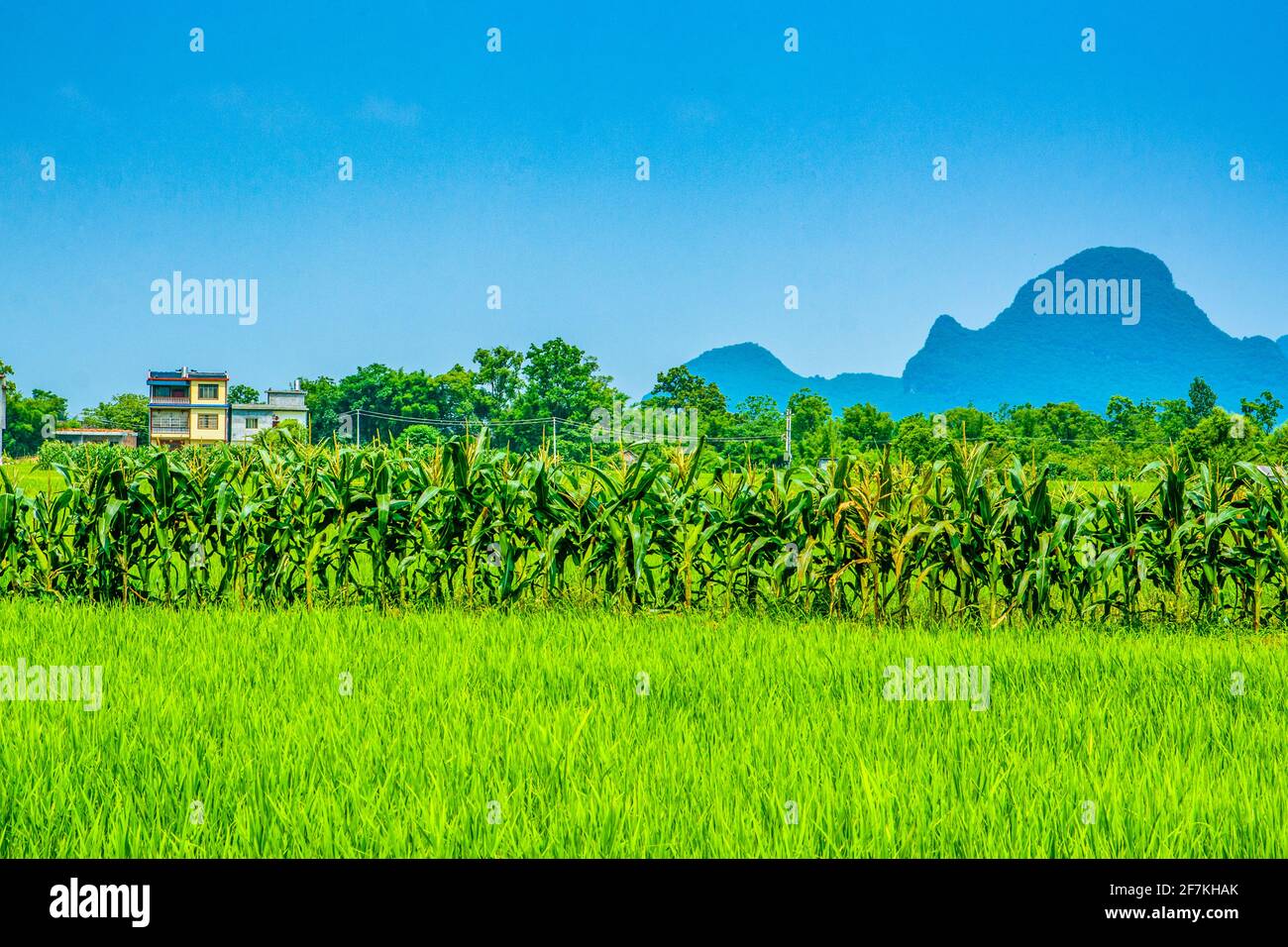 Landscape countryside scene scenic scenery view hi-res stock ...