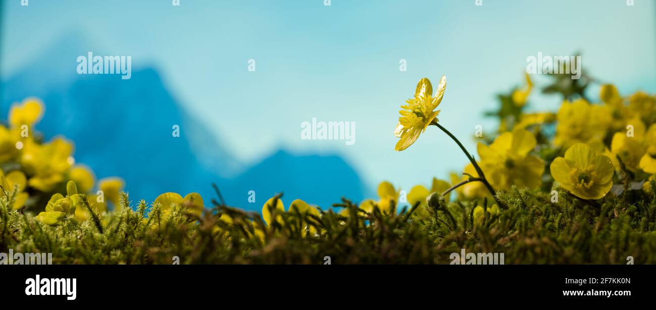 Closeup view beautiful mountains hi-res stock photography and images ...