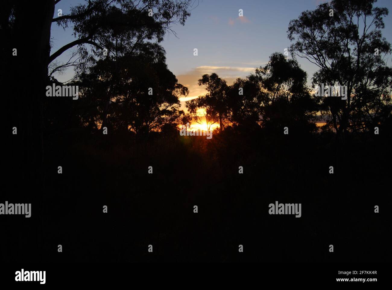 Sunset through trees at Churchill National Park, Victoria, Australia ...