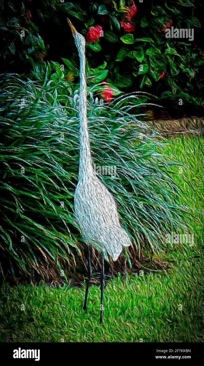 Digital anime art hi-res stock photography and images - Alamy