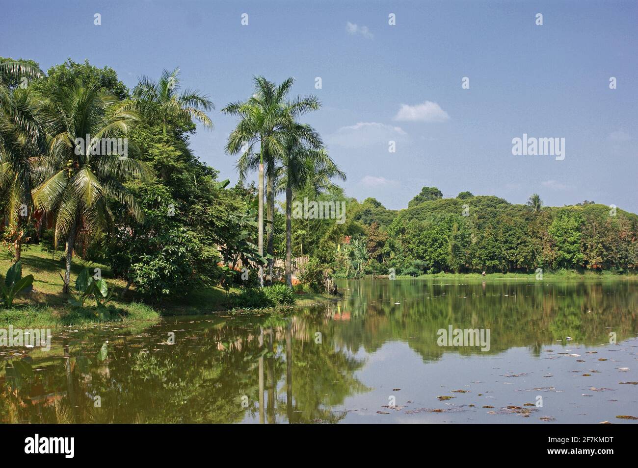 Danau Puspitek Lake, Serpong, Banten, Indonesia Stock Photo - Alamy