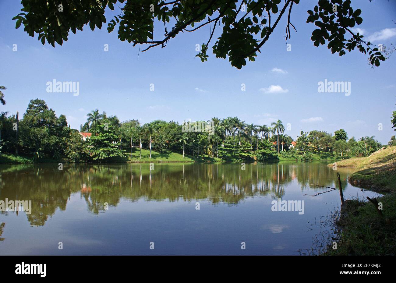 Danau Puspitek Lake, Serpong, Banten, Indonesia Stock Photo - Alamy