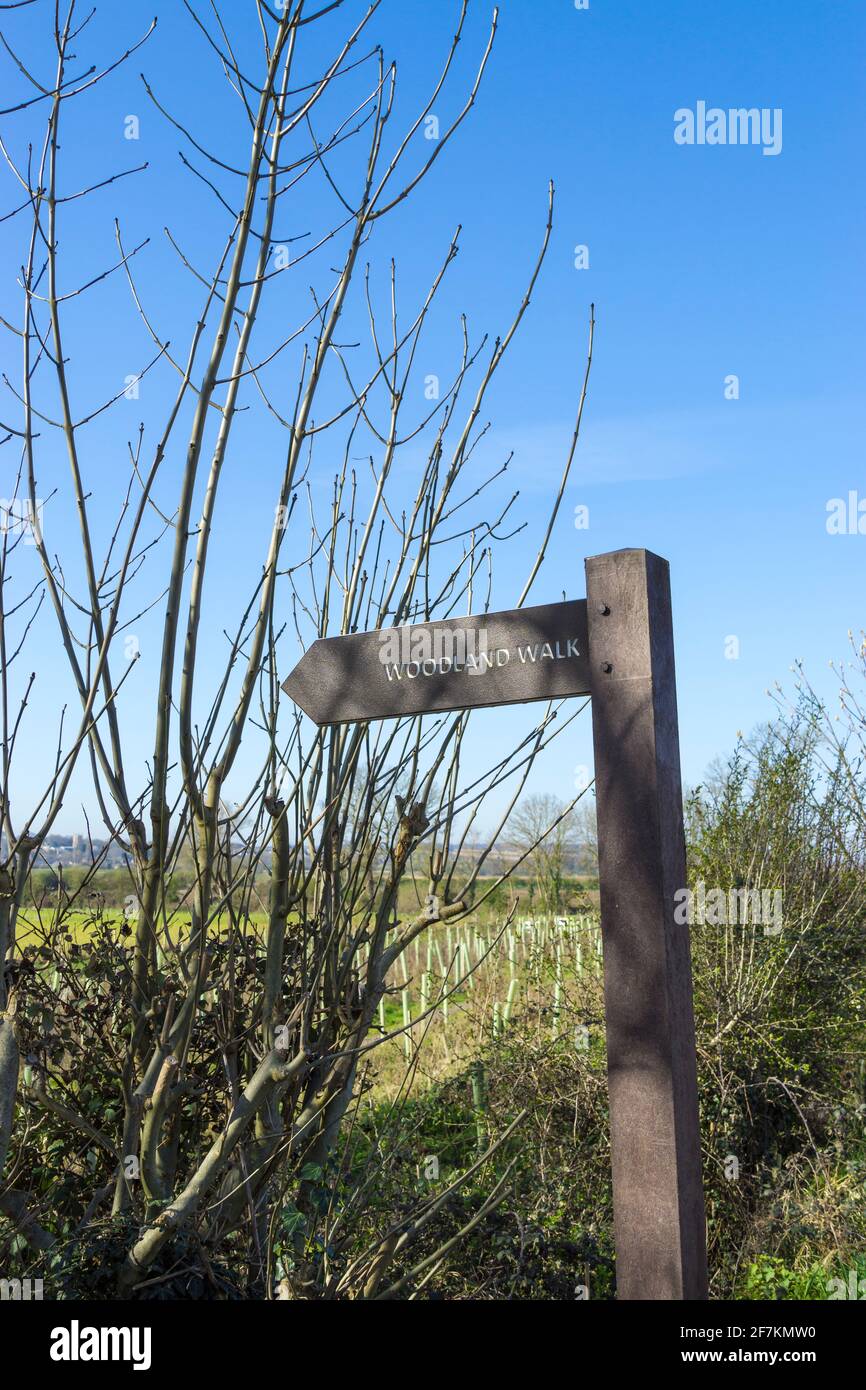 Signpost pointing to woodland walk in Cherry Fields Cherry Willingham ...