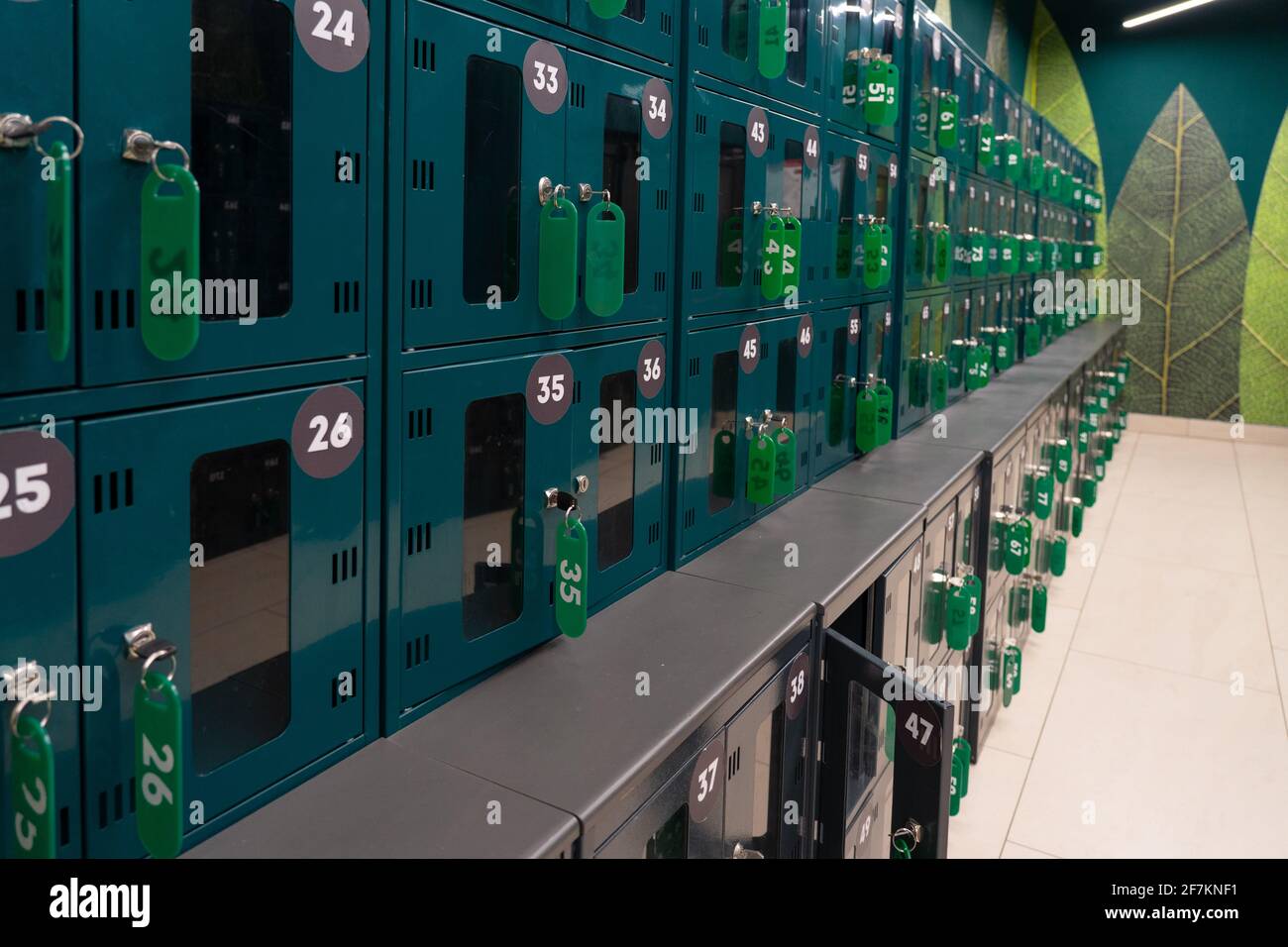 Cells for temporary storage of things in public place. Cells are green ...